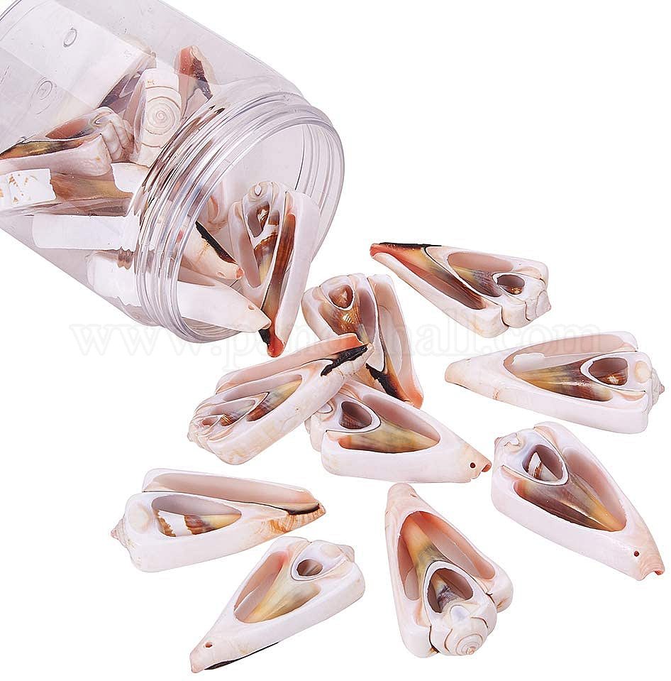 Wholesale PandaHall Elite about 170g Triangle Carved Shells Ocean Beach ...